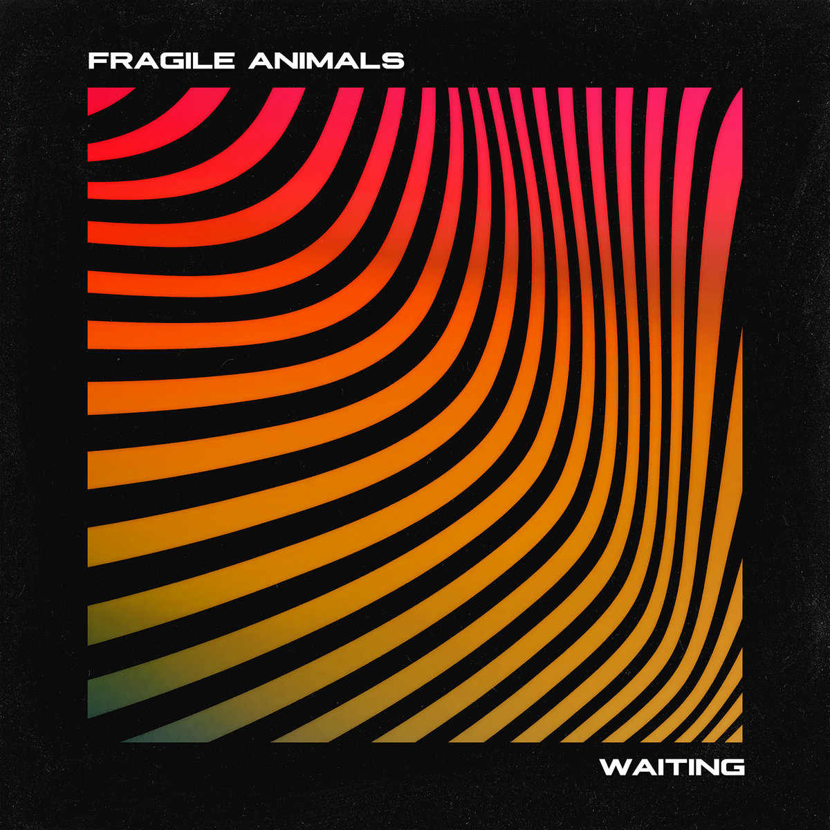 Fragile Animals – Waiting – Records I Like