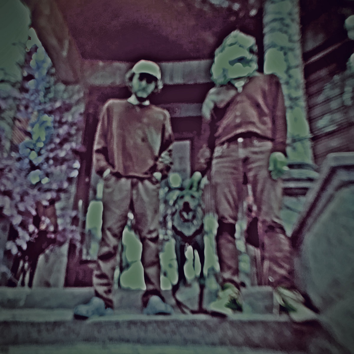 The Lemons – Nosher – Records I Like