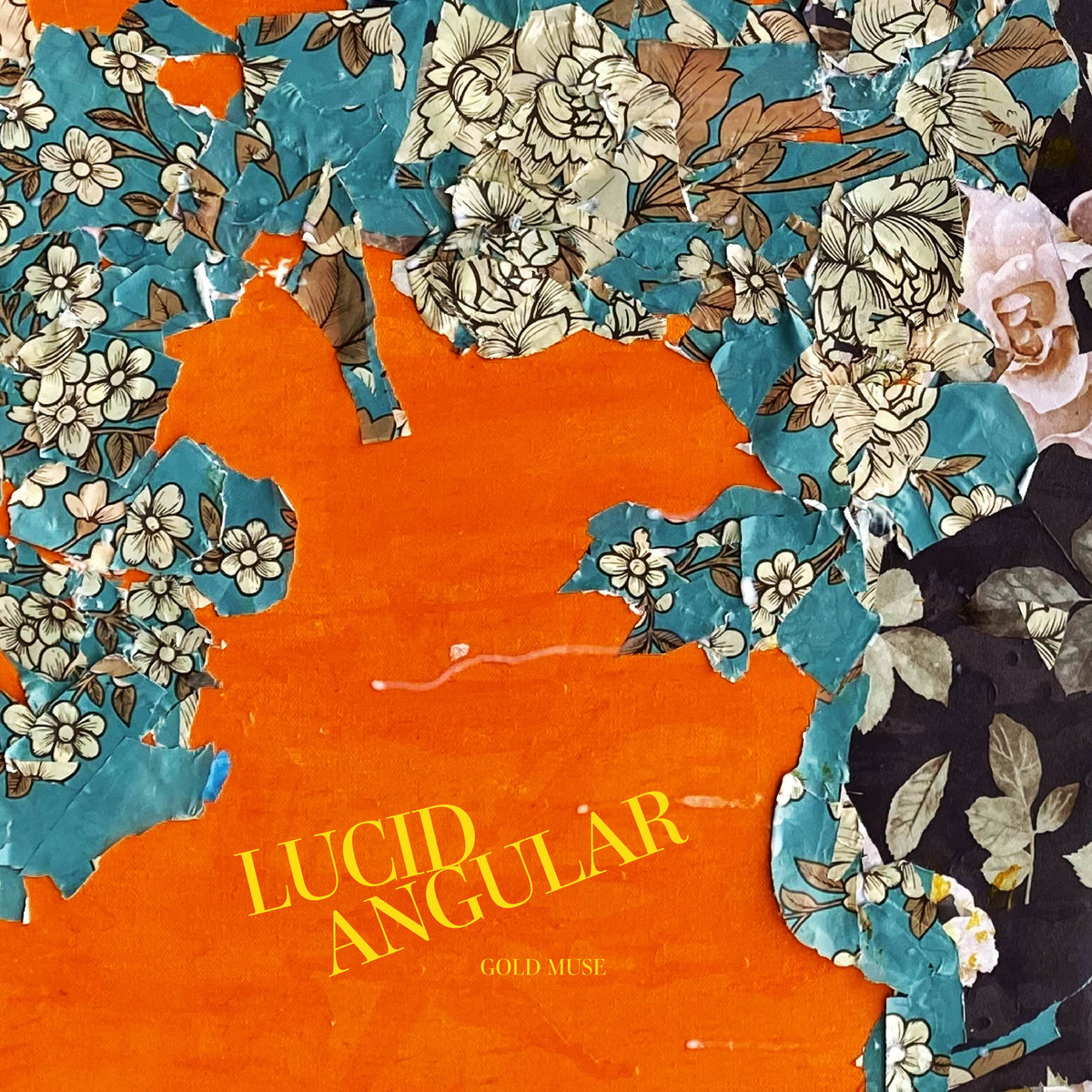Gold Muse – Lucid Angular – Records I Like