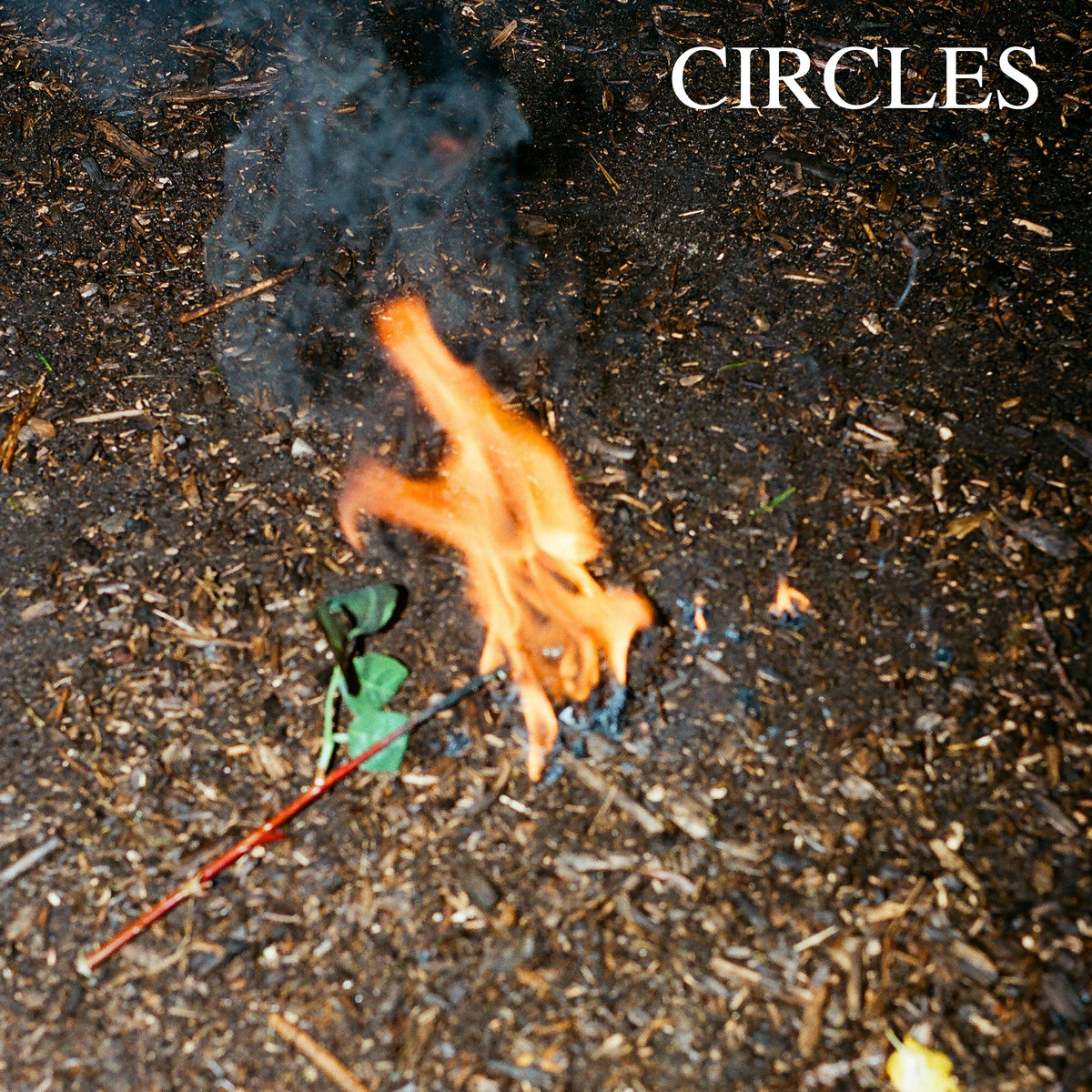 Basement Revolver – Circles – Records I Like