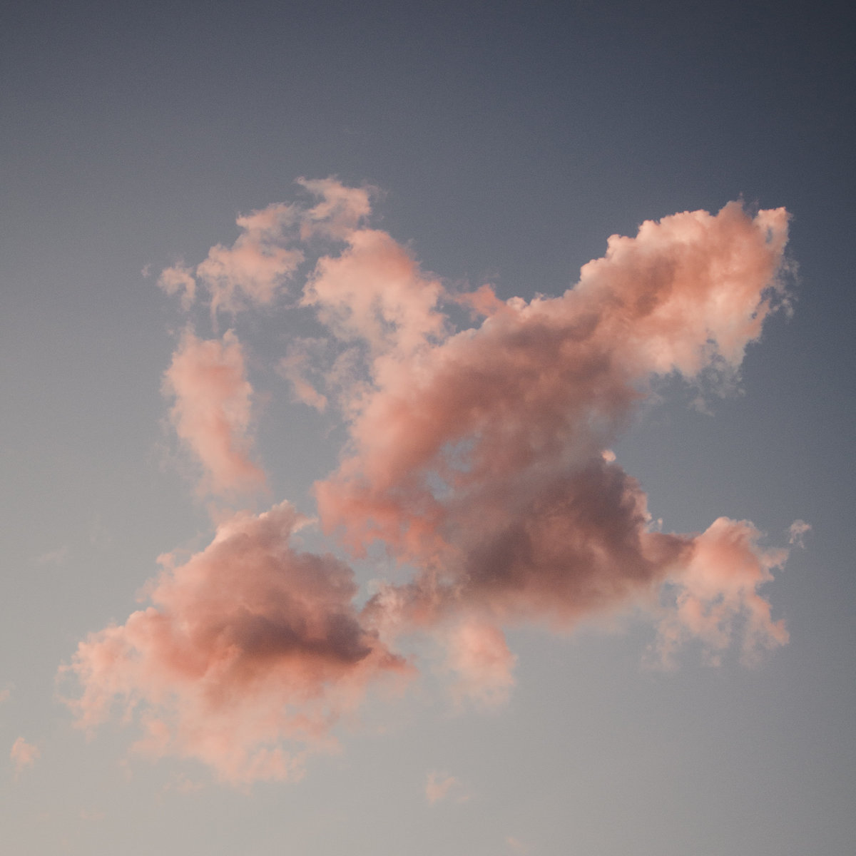Hollie Kenniff – Rest In Flight – Records I Like