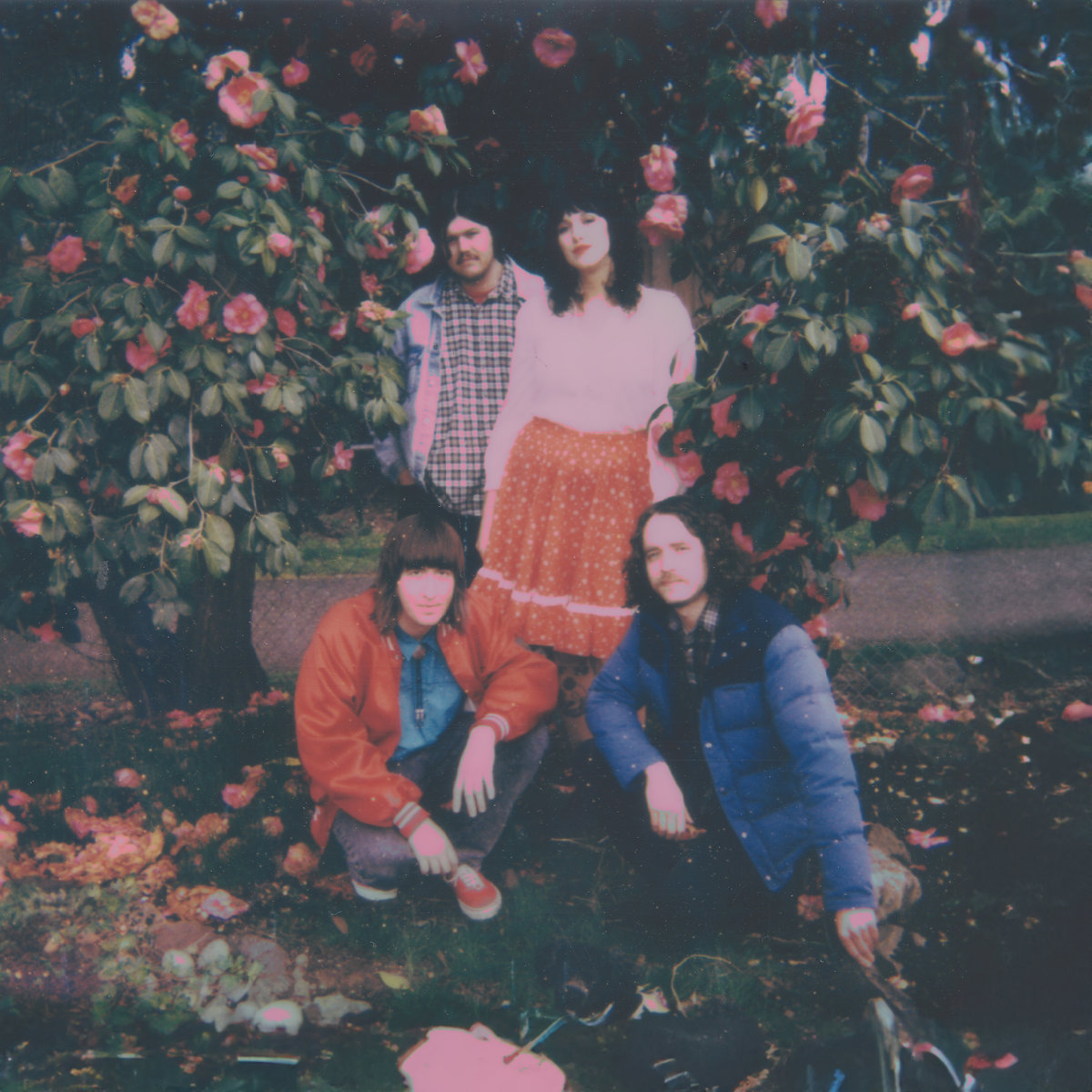 The Shivas – We Belong Together – Records I Like