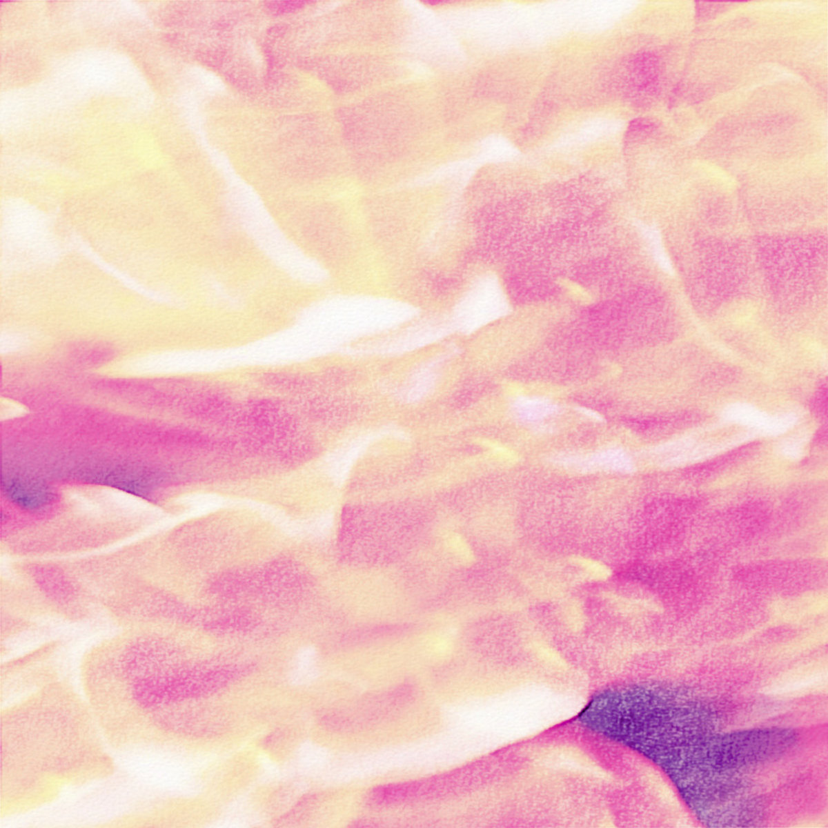 Rocket Rules – Rocket Rules – Records I Like