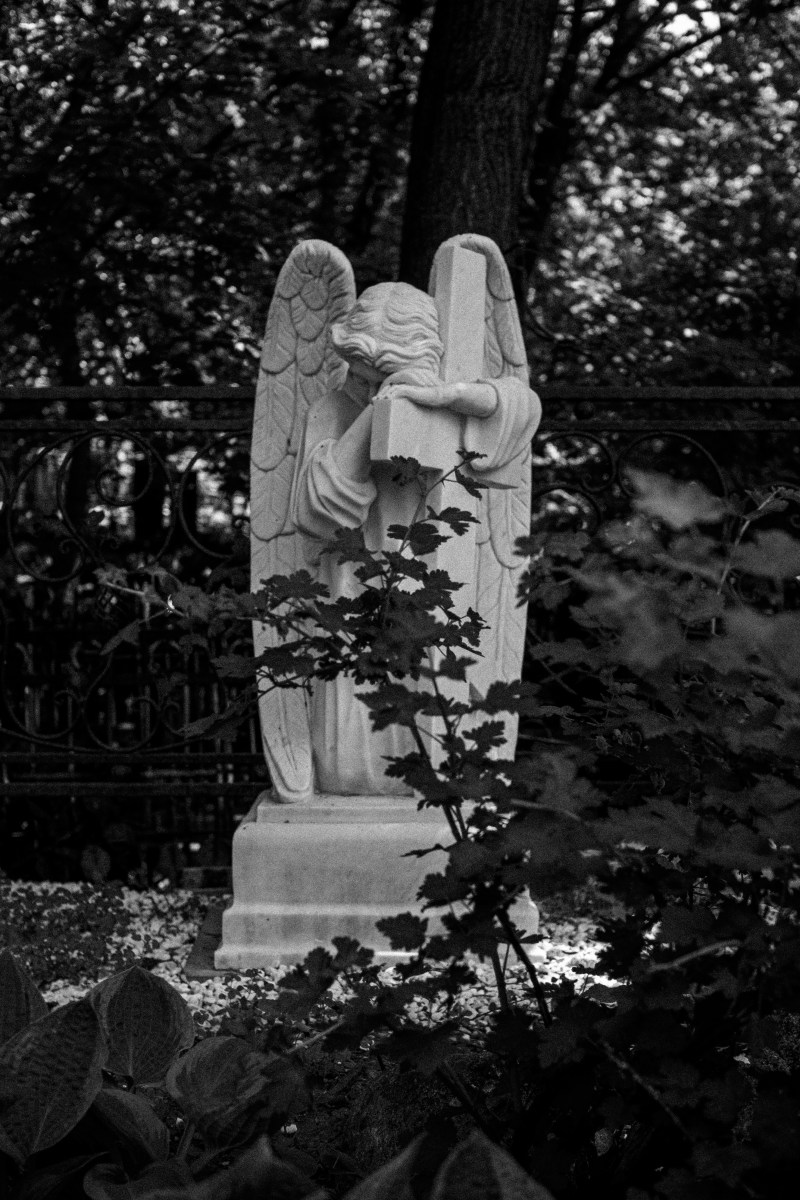 The 2026 Rolling One – Post-Punk – Records I Like